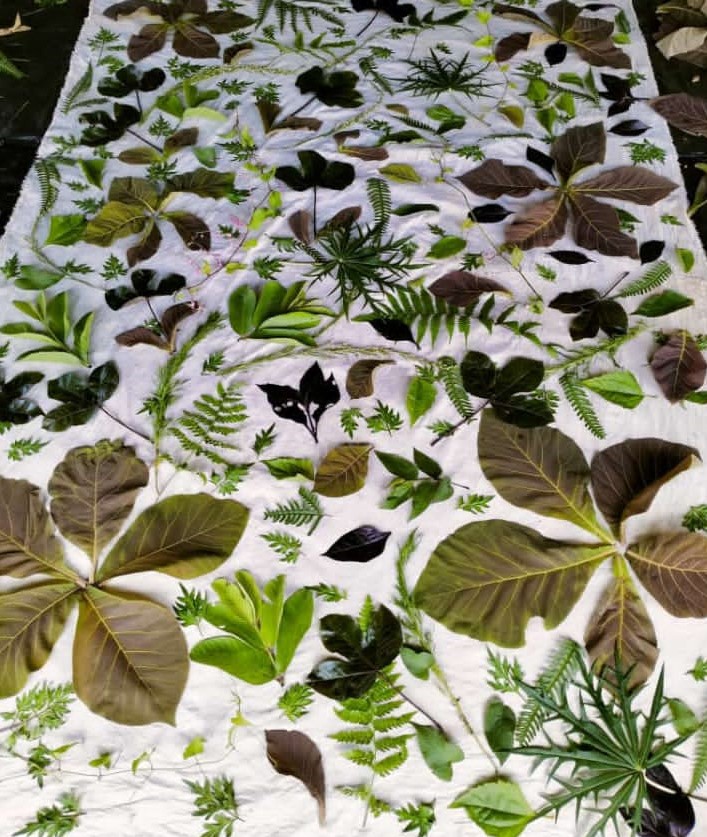 Batik Ecoprint Astarani | Prima Center Desa Mandiri Budaya